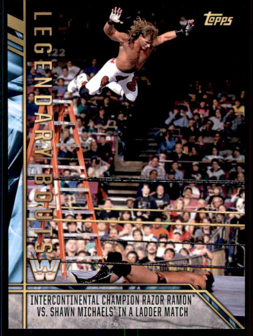 Thought you all might like my slideshow figure "recreation" of the HBK ...