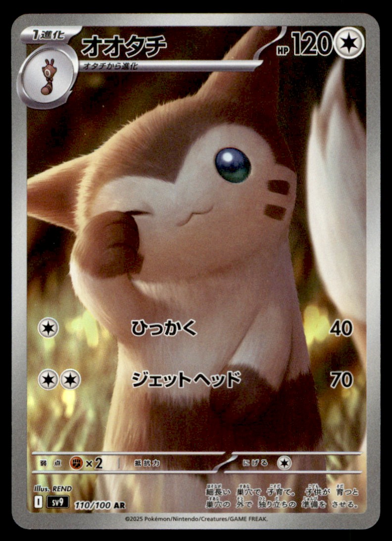 Furret Pokemon Wallpaper